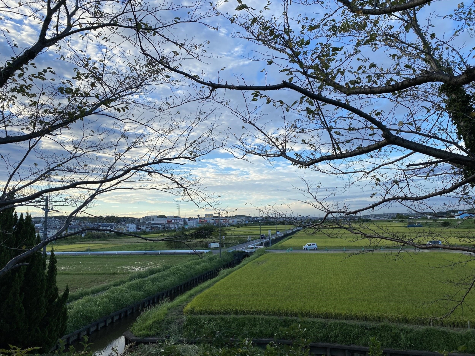 d news aichi agui生産者ツアーレポート | D&DEPARTMENT